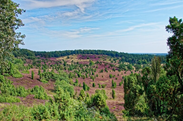 11 Interesting & Beautiful Places to Visit in Lower Saxony – Places to ...